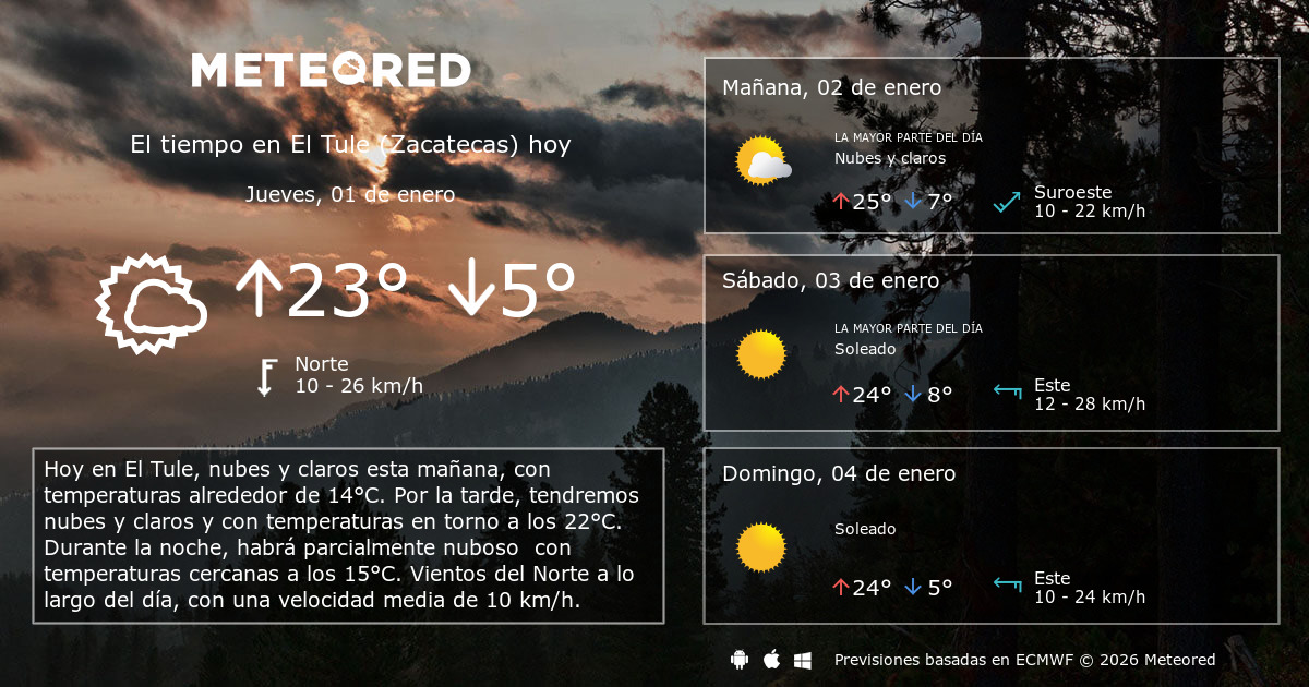 El Tiempo en El Tule (Zacatecas). Predicción a 14 días - Meteored