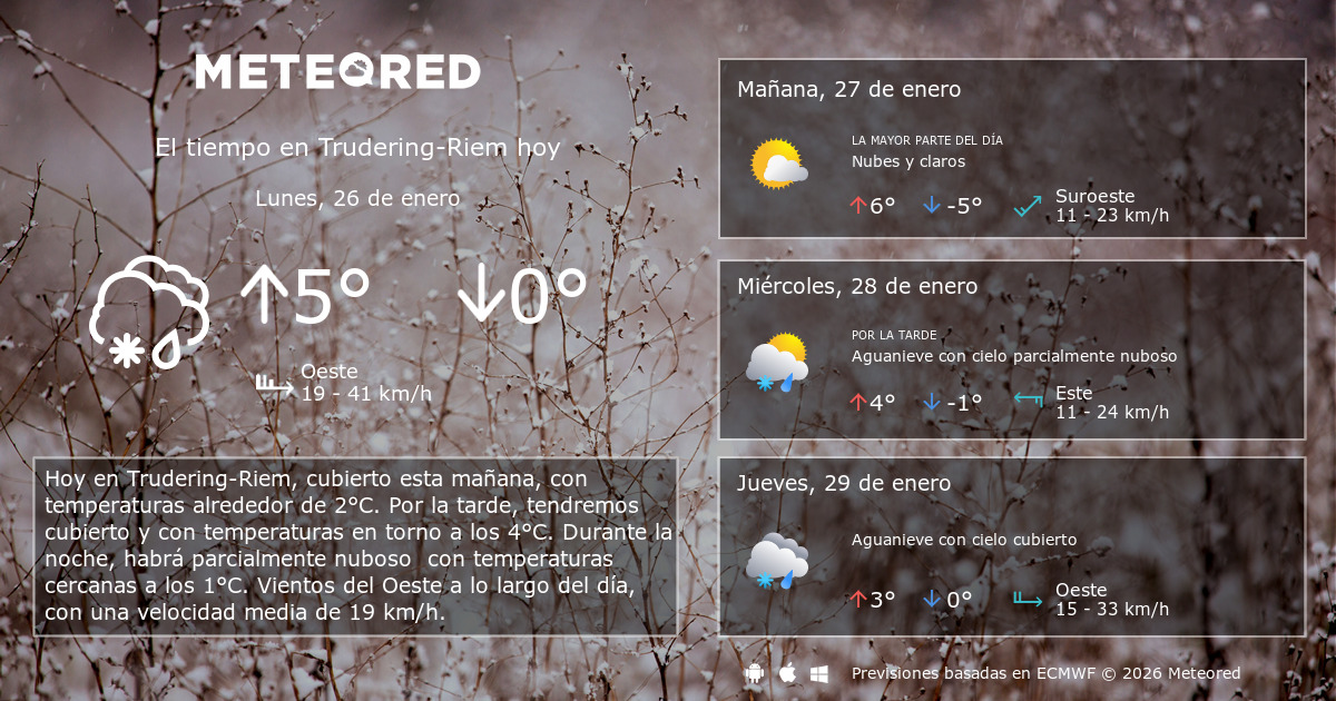 El Tiempo en Trudering-Riem. Predicción a 14 días - Meteored